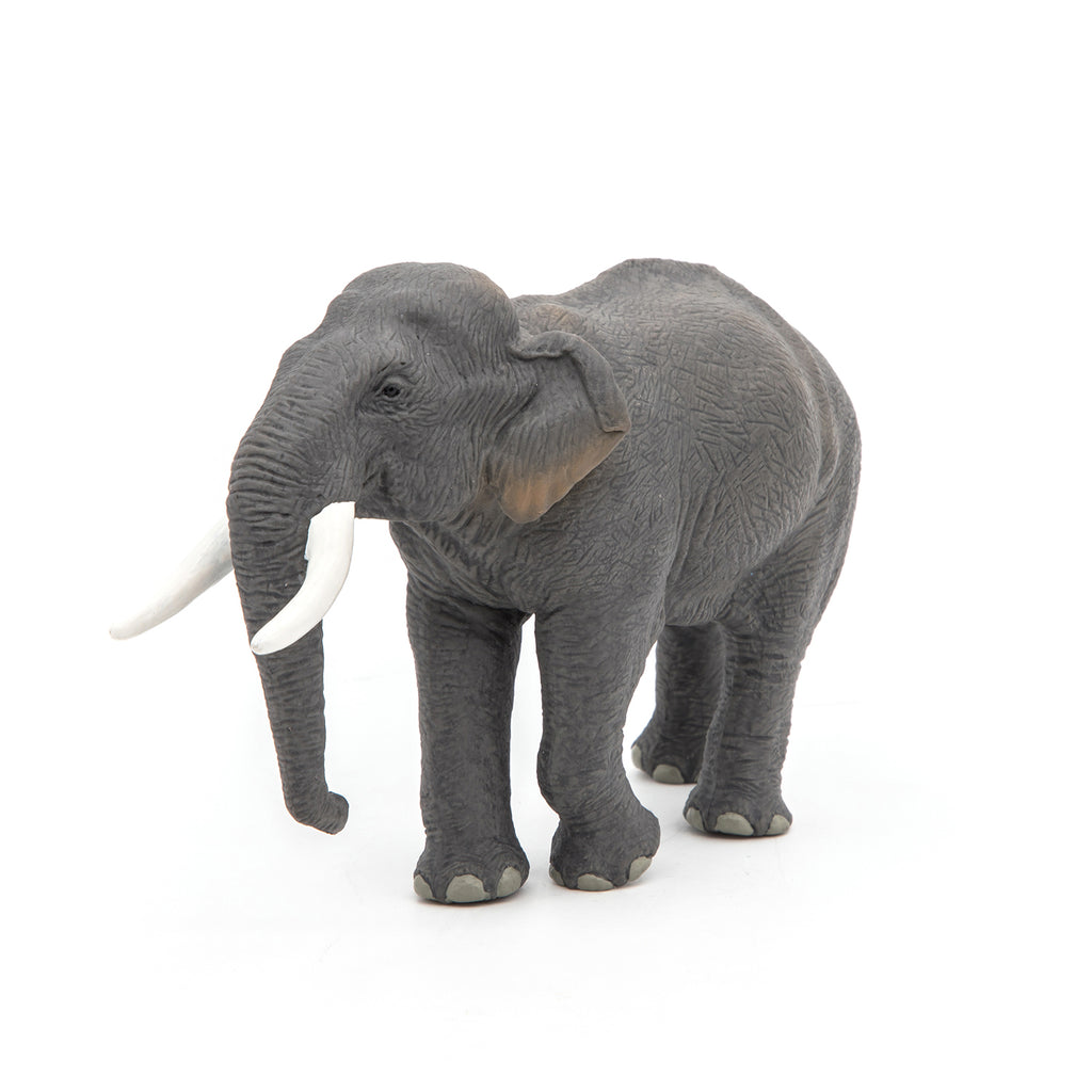 ASIAN ELEPHANT - PAPO – The Better Toy Store