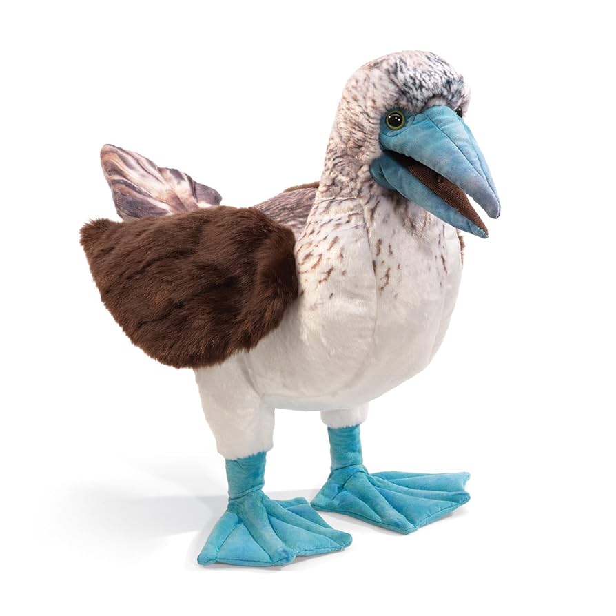 BLUE-FOOTED BOOBY – The Better Toy Store